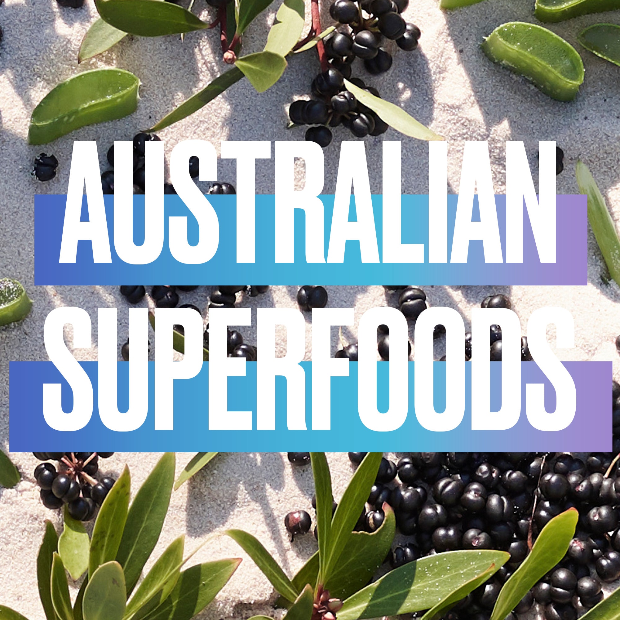 Aussie SOS Brunette Hair Hydration Vegan Blue Shampoo, 290ml