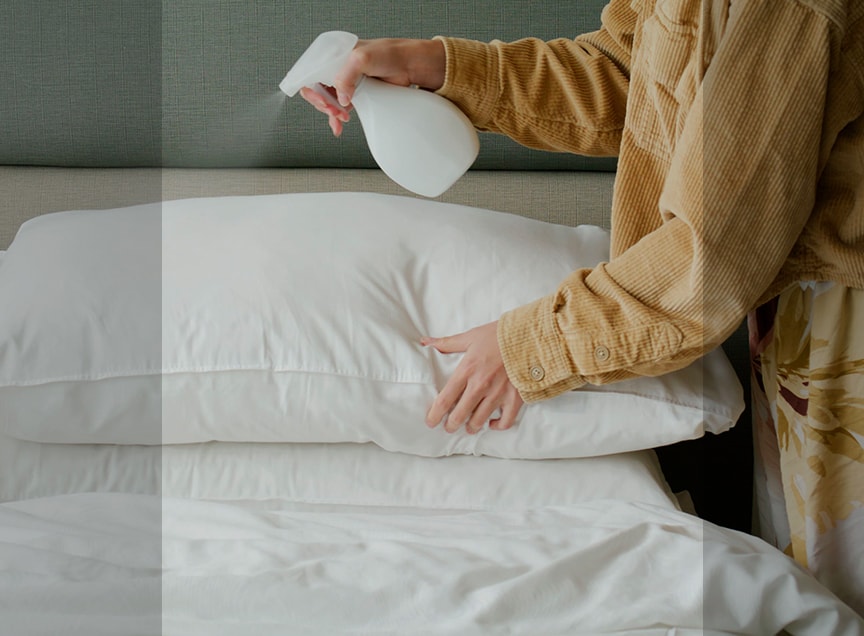 Ácaros en la cama - Colchón y Funda LIMPIOS 100%